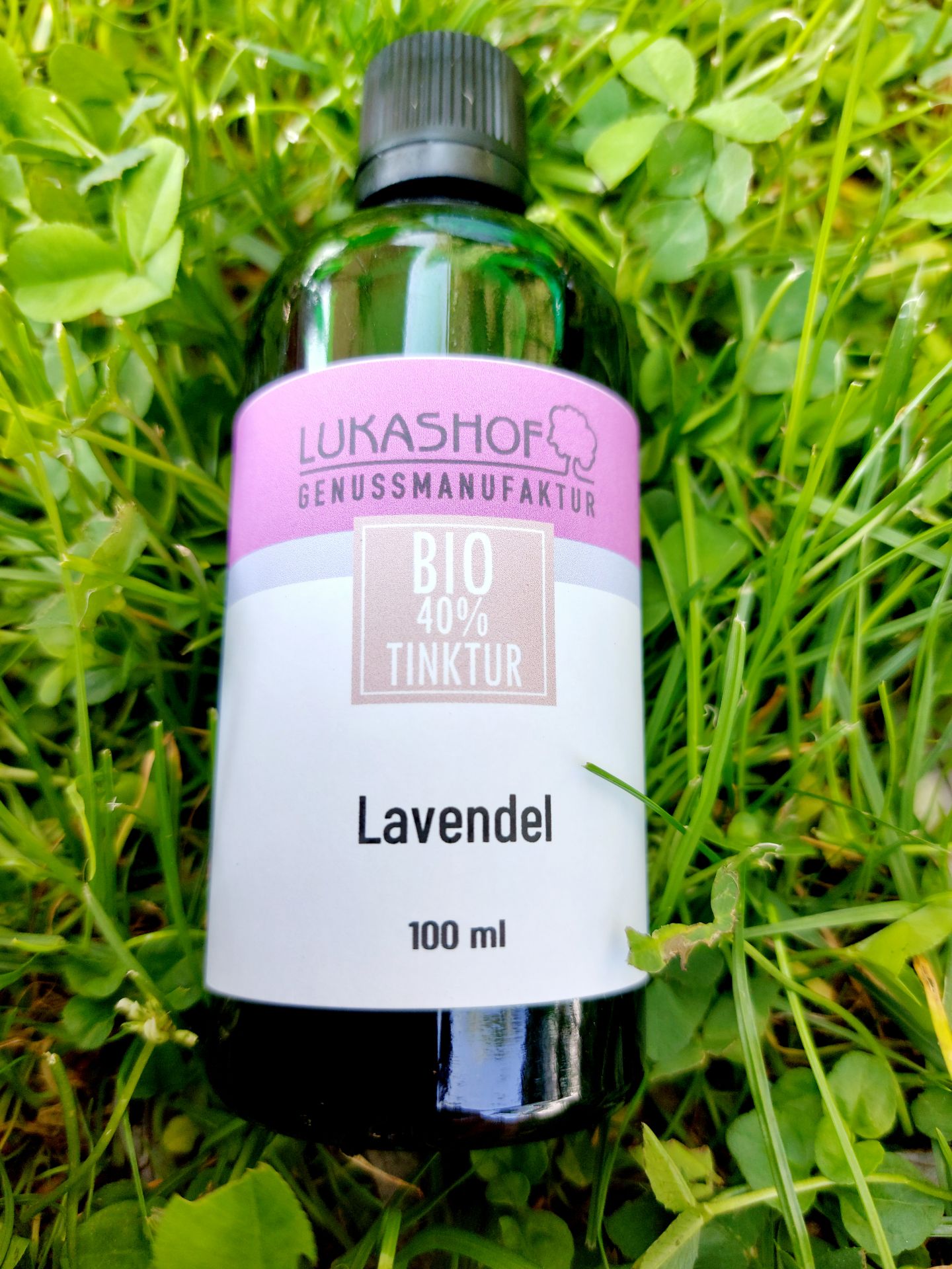Lavendel Tinktur 40 % Bio – 100 ml naturrein | Lukashof